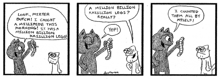 MAGcos – -On-Line-